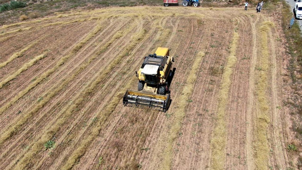 Biçim ve balya yapımı fiyatları belirlendi - Zonguldak Pusula Son ...