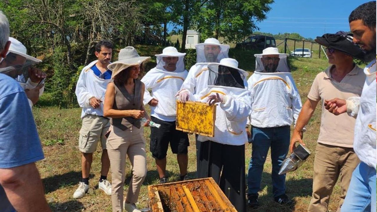 Apiturizm faaliyetleri DAGEM ile dünyaya tanıtılıyor - Zonguldak Pusula ...
