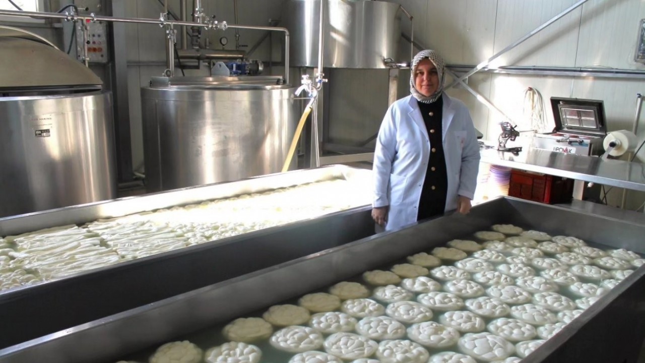 Başvurular 19 Şubat’ta son - Zonguldak Pusula Son Dakika Haberleri